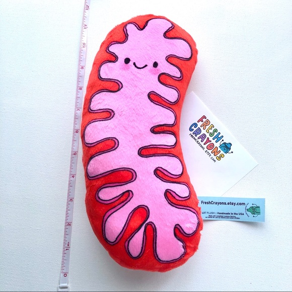 Fresh Crayons | Toys | New Mitochondria Plushy By Fresh Crayons | Poshmark